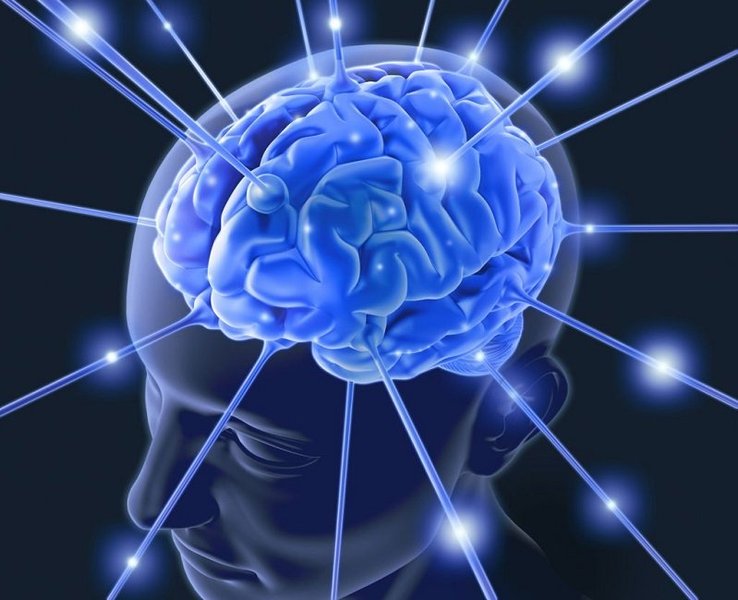 Ithy - Unveiling the Mind's Eye: How Your Brain Captures and Curates ...