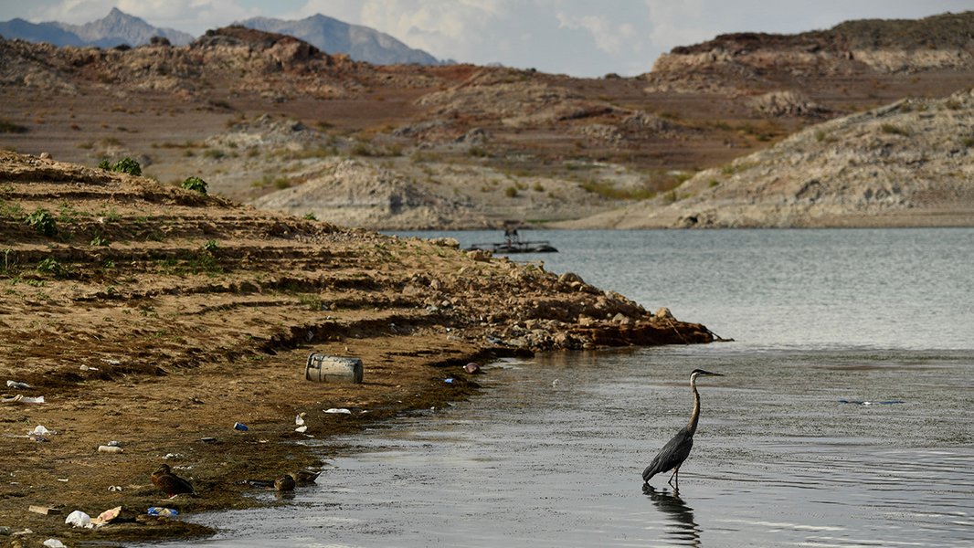 Ithy - How Climate Change is Reshaping Our Rivers: Flow, Quality, and ...