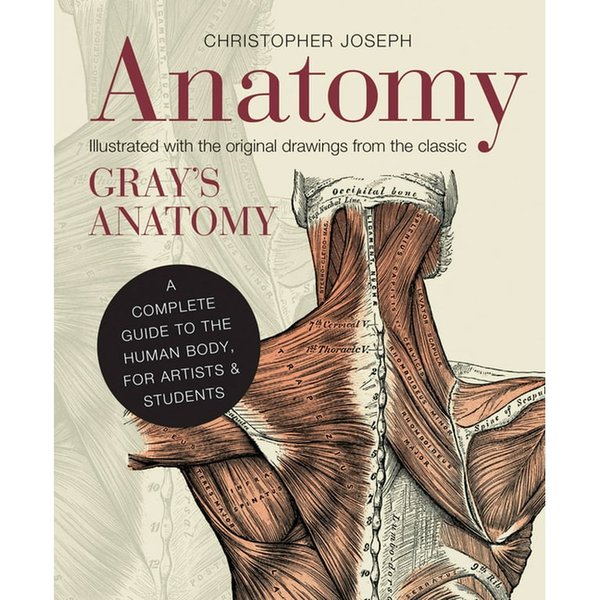 Ithy - Unlocking the Human Body: Your Comprehensive Guide to College ...
