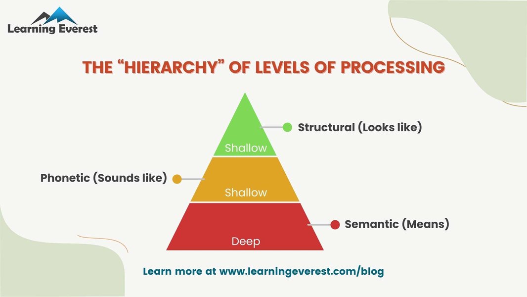 Ithy - The Neural Architecture of Learning: Comparing Cognitive ...