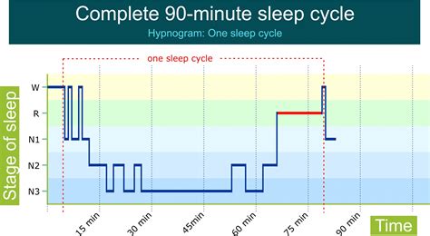 Ithy - Understanding Core Sleep