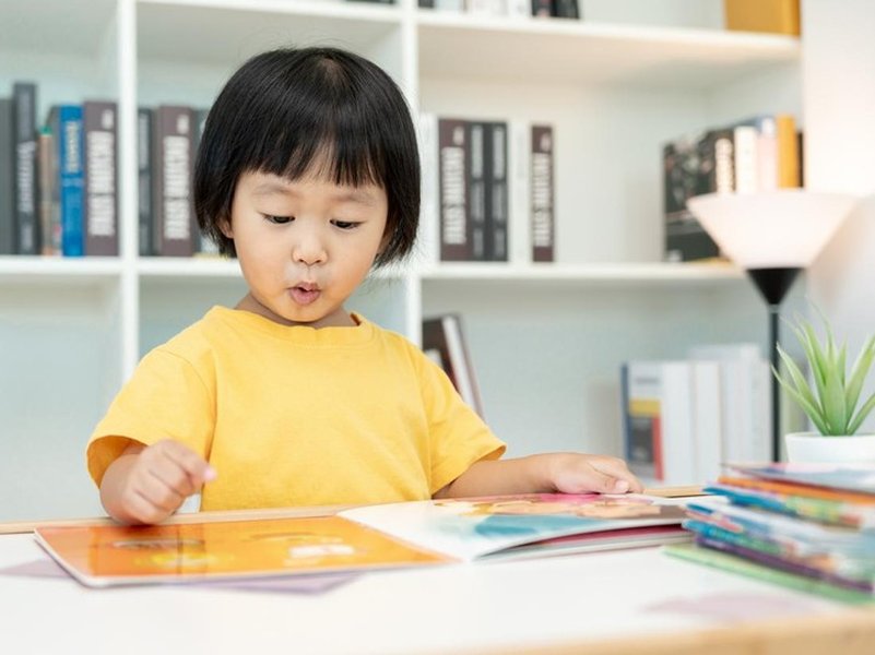 Ithy - Memahami Bahan Bacaan: Definisi, Jenis, dan Signifikansinya