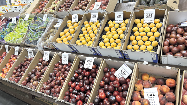 Ithy - Demand Forecasting Challenges in Inventory Management for Fruit ...