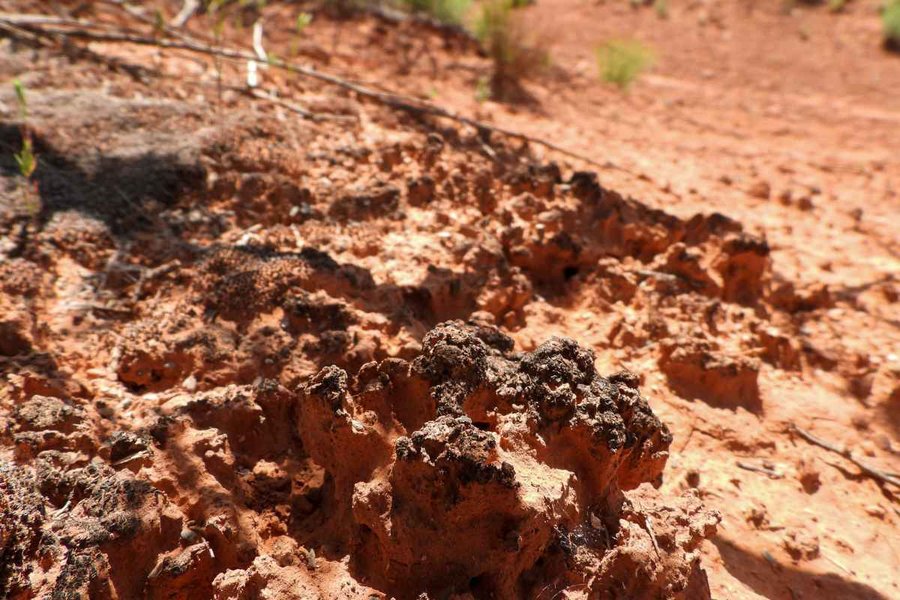 Ithy - Les secrets de la formation des sols désertiques enfin dévoilés!