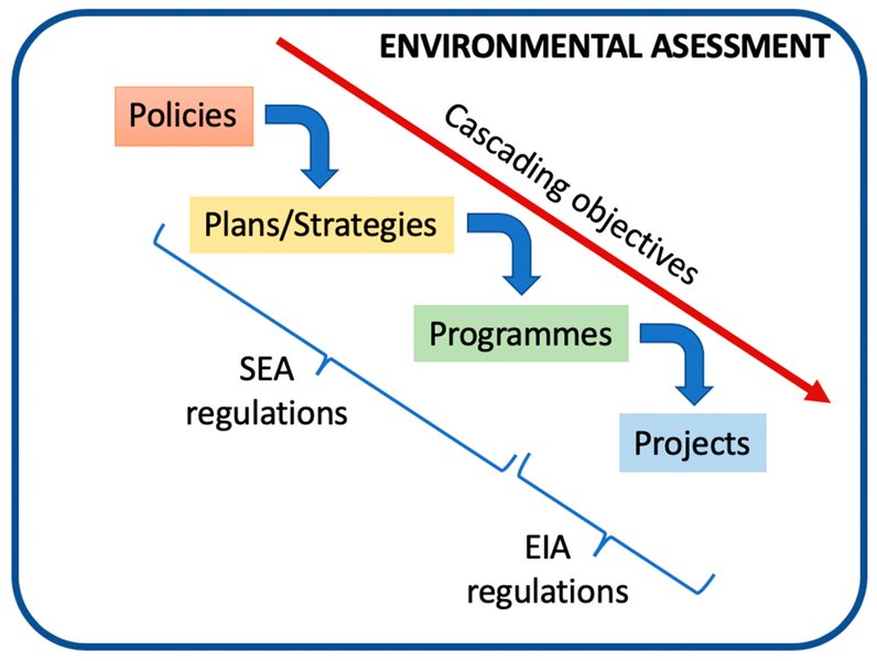 Ithy - Navigating the Landscape of Environmental Impact Assessment ...