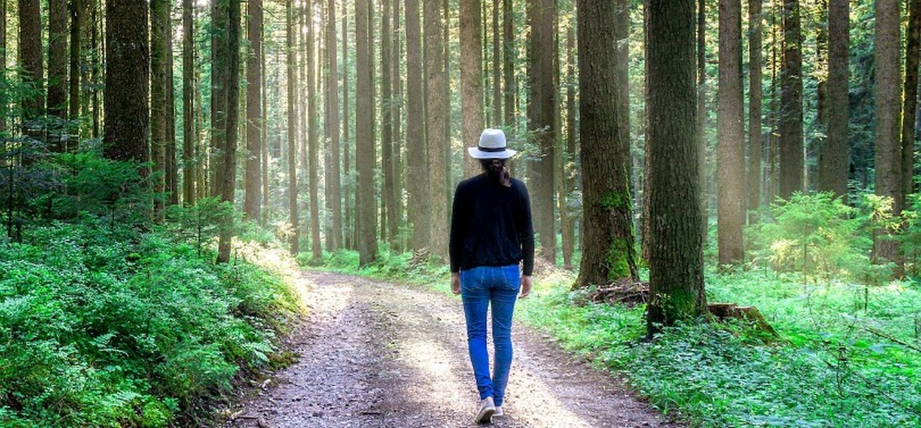 Ithy - Unveiling Life's Tapestry: What Does It Truly Mean to Live?