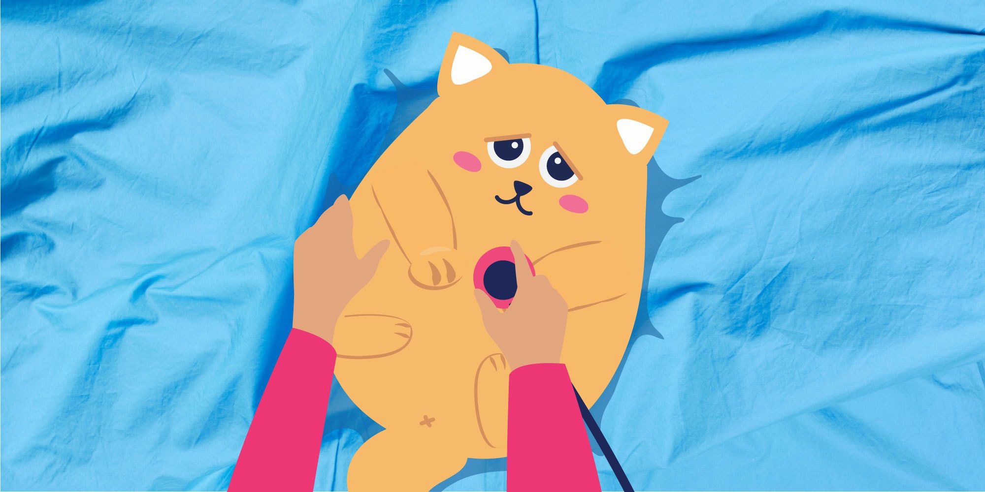 Ithy - Illustrating FIP Development from Feline Coronavirus