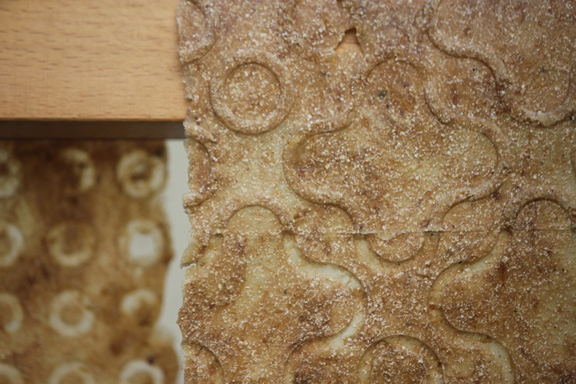Ithy - Efficacy of Using Garlic Peels as a Sustainable Material for ...