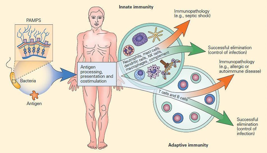 Ithy - Gestion du Risque d'Auto-Inflammation : Une Approche Cartographiée