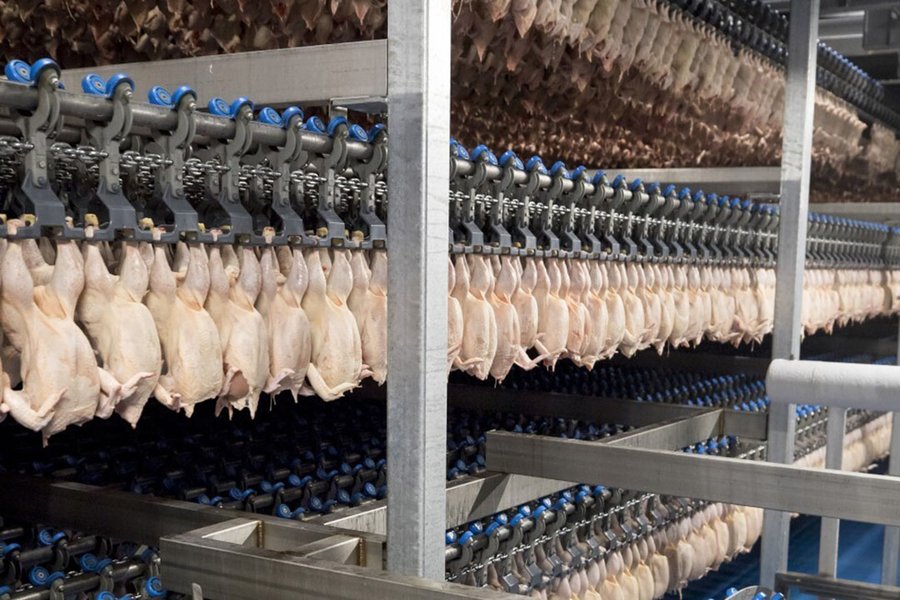 Ithy - 世界に広がる鶏肉加工の網：海外のブロイラー加工工場の実態解明