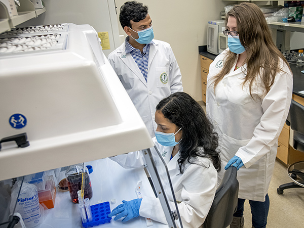 Ithy - Gut Microbiome Engineering: Strategies for Modulation, Dietary ...