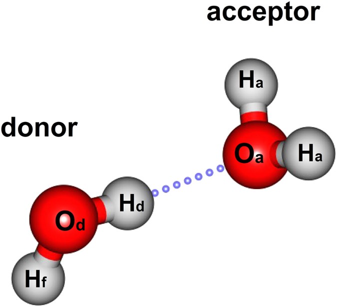 Ithy - Intramolecular Hydrogen Bonding Examples