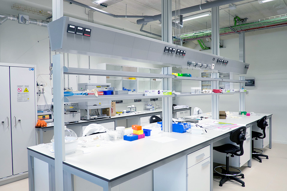 Ithy - Jack H. Lutz: A Renowned Theoretical Computer Scientist