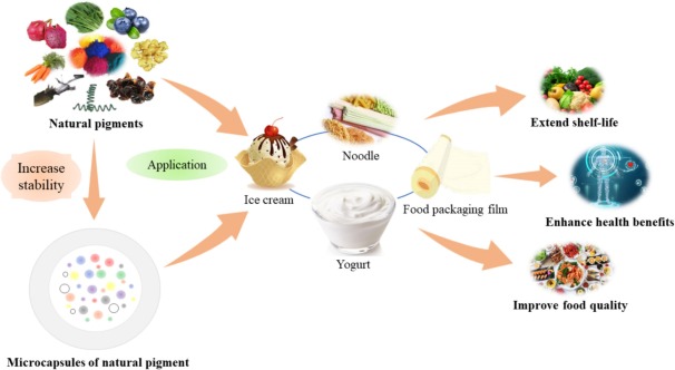 Ithy - Microbial Pigments in the Food Industry