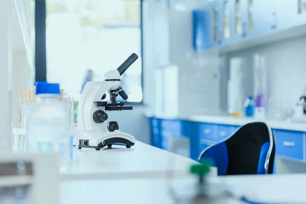 Ithy - Impact of Microscope Misuse on Microbial Observations