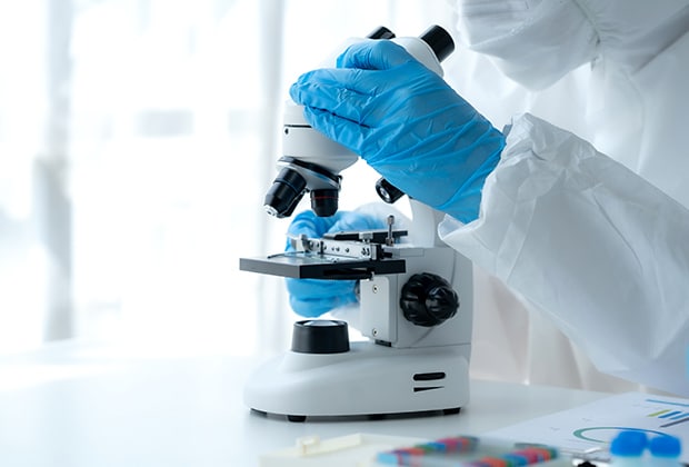 Ithy - Bright Field vs. Dark Field Microscopes