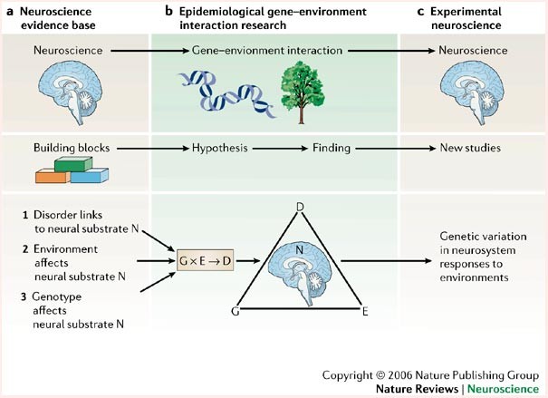 Ithy - The Importance of Nature and Nurture in Human Development