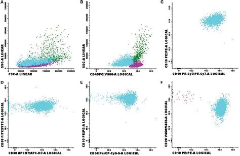 Ithy - Optimizing the Freezing of Mouse Lymph Nodes, Thymus, and Bone ...