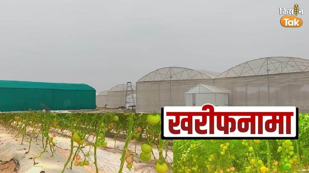 Ithy - पॉलिहाऊस आणि शेडनेट हाऊस अनुदानासाठी संपूर्ण मार्गदर्शन!