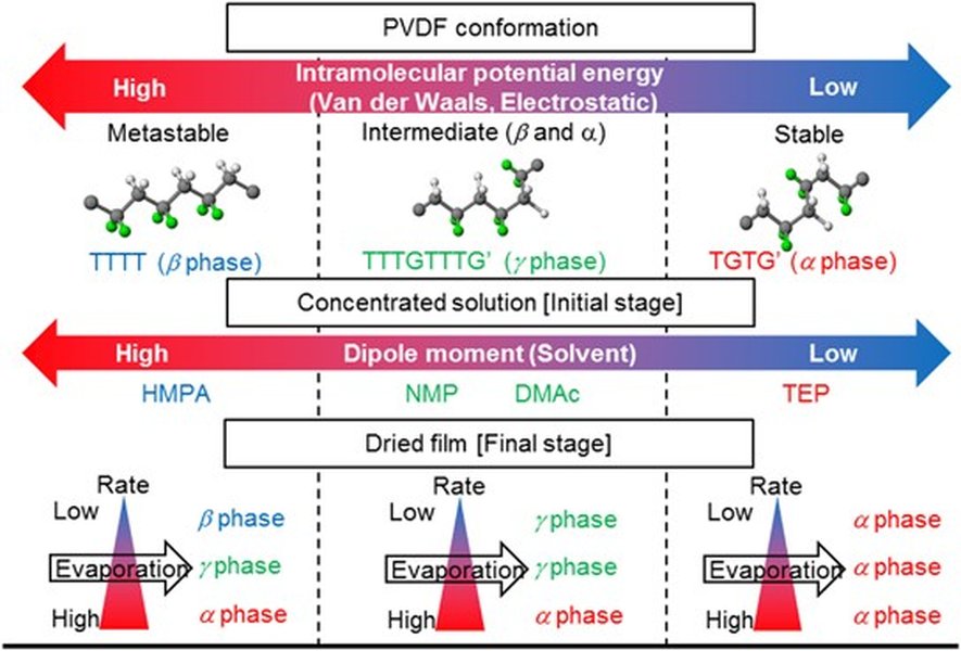 Ithy - Unlocking PVDF's Potential: A Deep Dive into Solvents and DIW ...