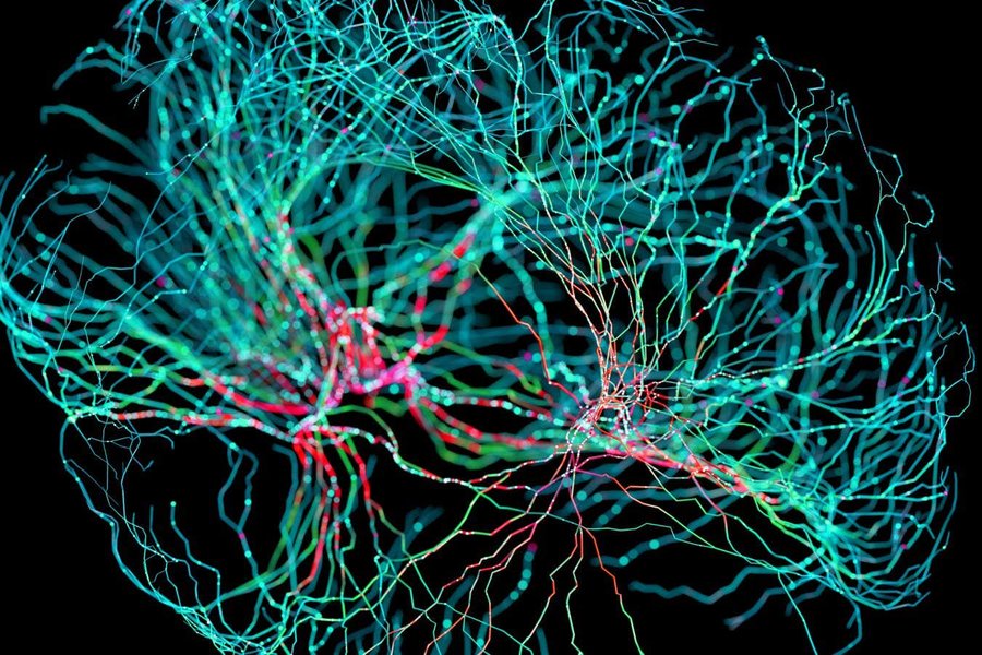 Ithy - The Quantum Enigma of Consciousness: Could Entanglement in the ...