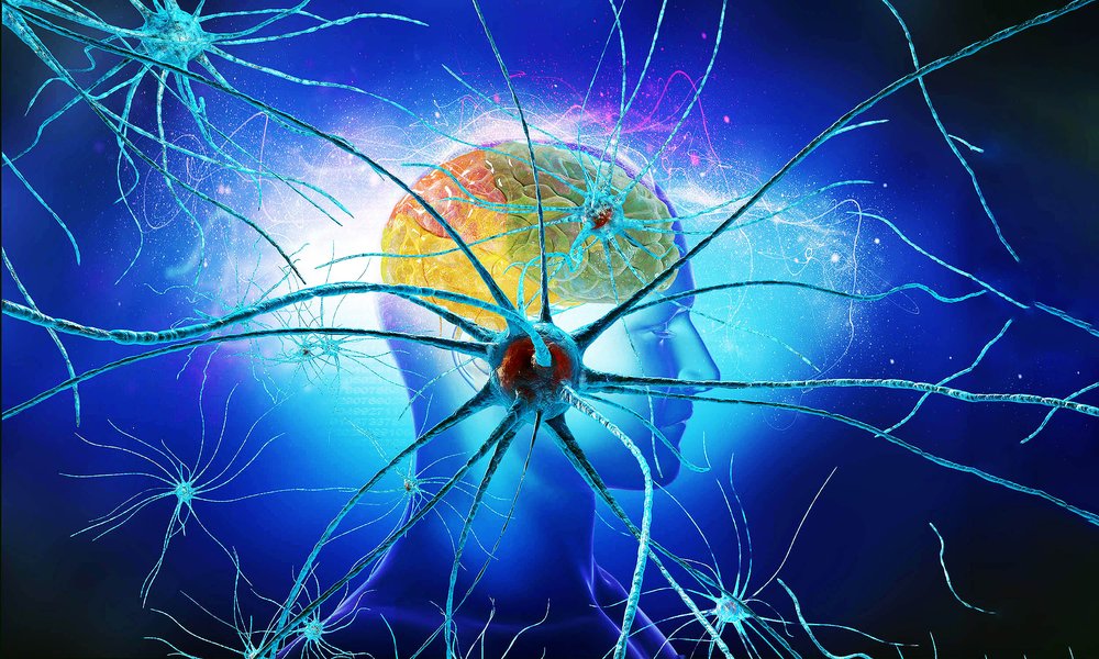 Ithy - The Quantum Enigma of Consciousness: Could Entanglement in the ...