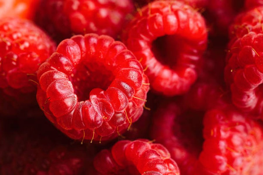 Ithy - Unraveling the Raspberry: More 'R's Than You Might Think?