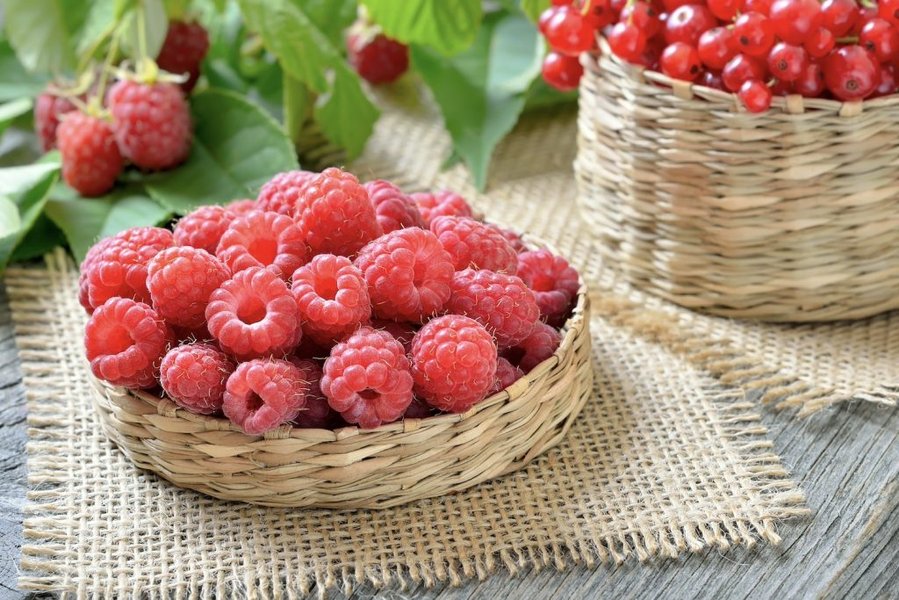 Ithy - Unraveling the Raspberry: More 'R's Than You Might Think?