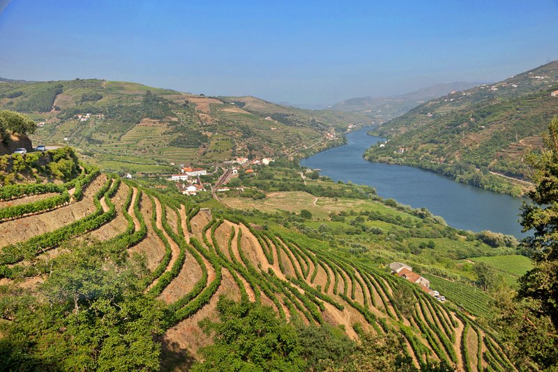 Ithy - Rivers: The Circulatory System of Socio-Economic Development