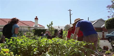 A Comprehensive Roadmap to the Perfect Utopia