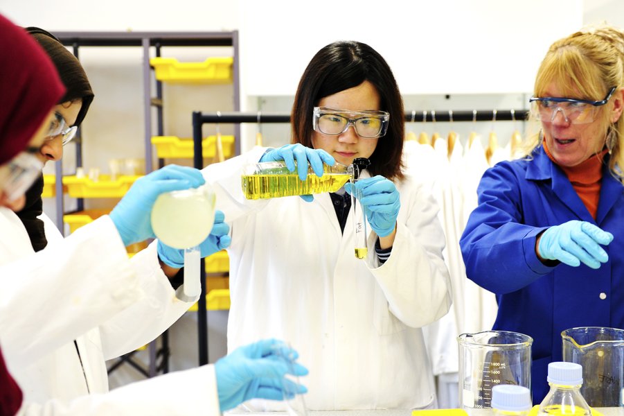 Ithy - Navigating the Landscape of Scientific Research: A Comprehensive ...