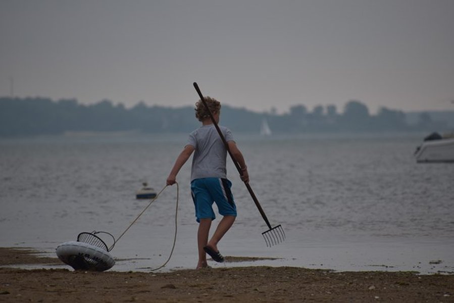 Ithy - Unearthing the Delights of Cape Cod Shellfishing: A ...
