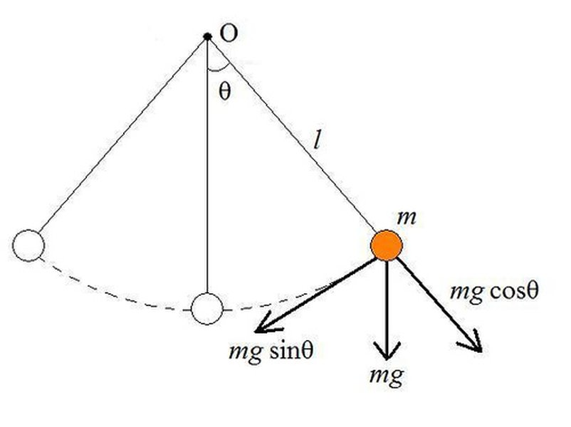 Ithy - Unveiling the Rhythmic Dance: What Exactly is Simple Harmonic ...