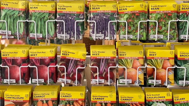 Ithy - Best Vegetable Seeds in Howick, Auckland