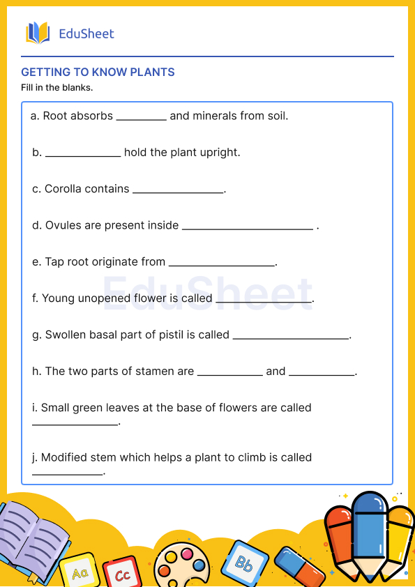 Getting to know plants Worksheets | Free Download at Orchids International