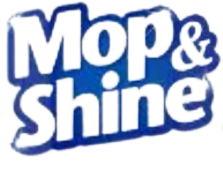 Mop & Shine Singapore - Best Price