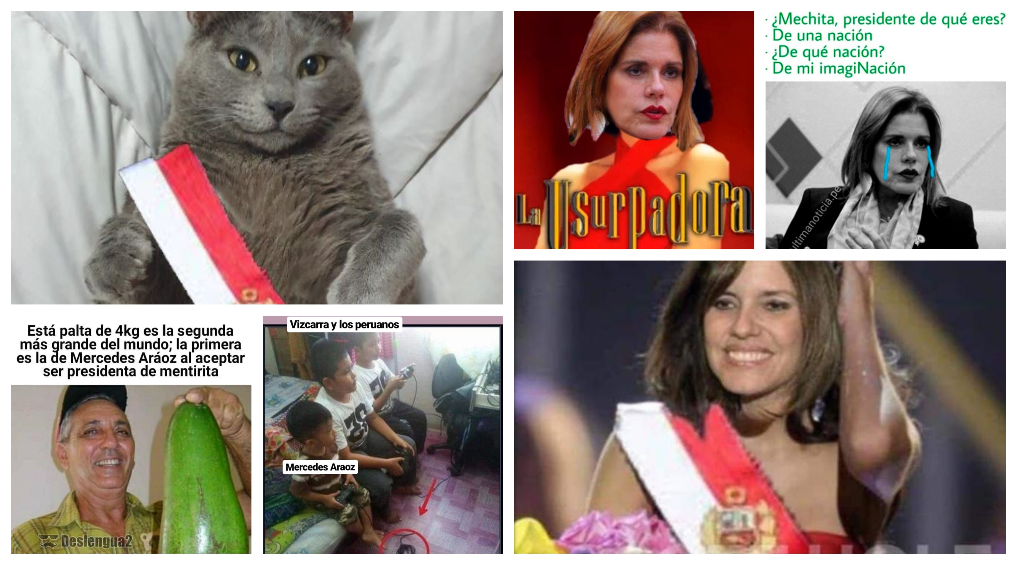 Los mejores memes sobre la "juramentación" de Mercedes Aráoz como ...