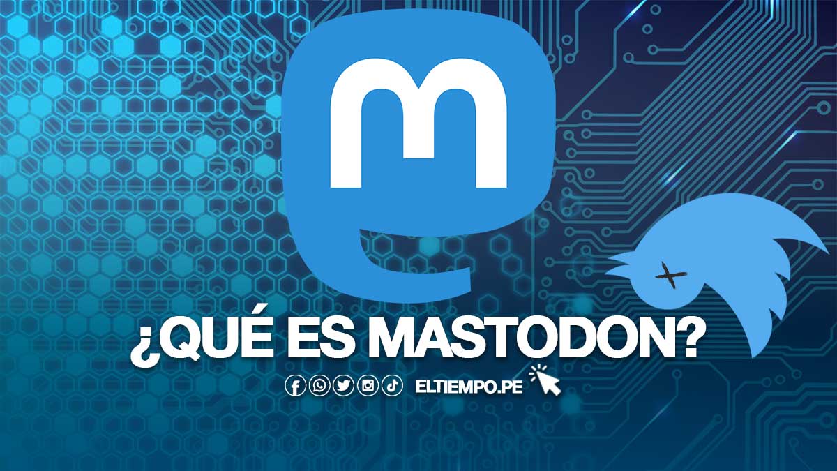 Mastodon por Twitter: ¿qué es, cómo funciona y cómo crear una cuenta en la red social? - El Tiempo