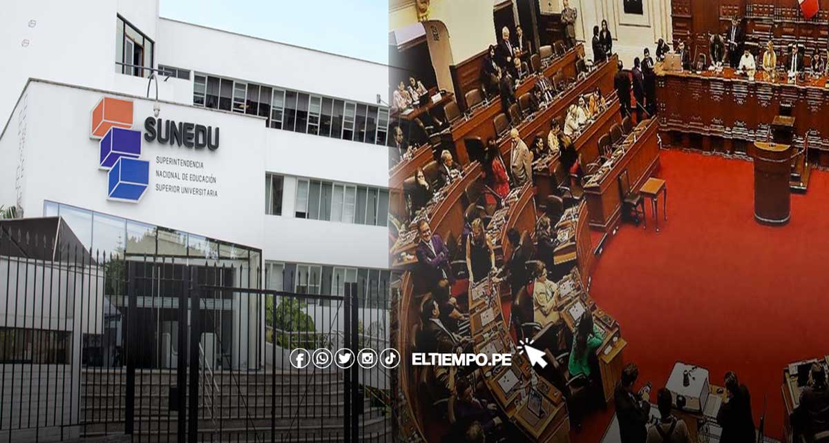 El nuevo rostro de la Sunedu - El Tiempo