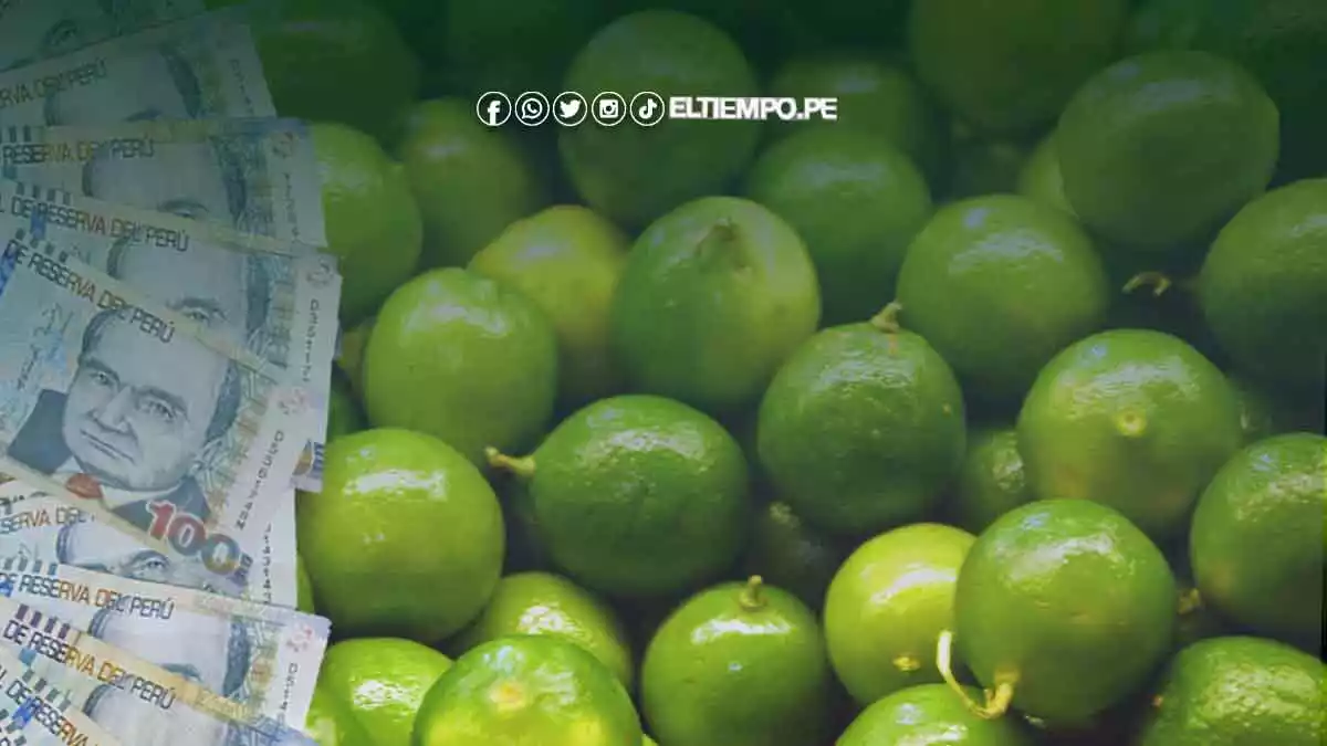 ¿Cuál es el precio y características del limón Tahití? | Diario El Tiempo