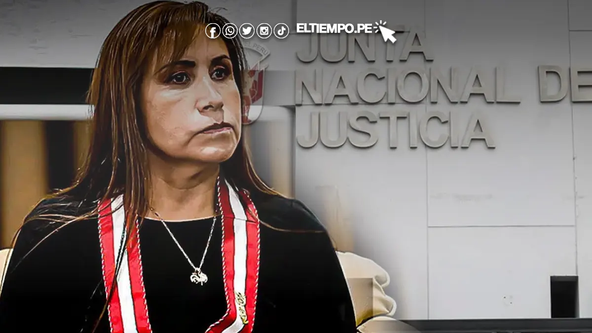 Pj Rechaza Solicitud De Medida Cautelar De Patricia Benavides Diario