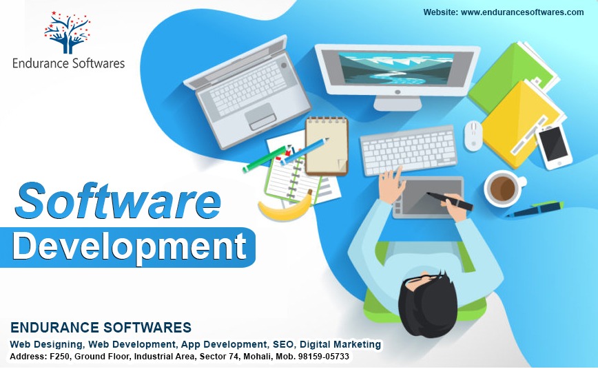 Software development services at Endurance Softwares