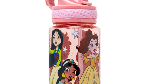 Disney Store Gourde Princesses Disney.tif