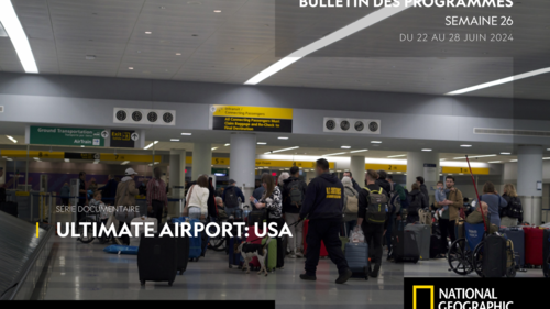 PDF - BULLETINS NG S26.pdf