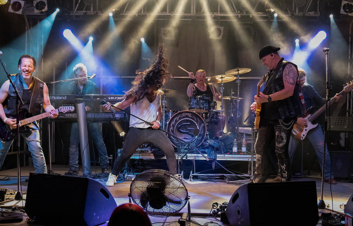 Buche jetzt die Whitesnake Tribute Band