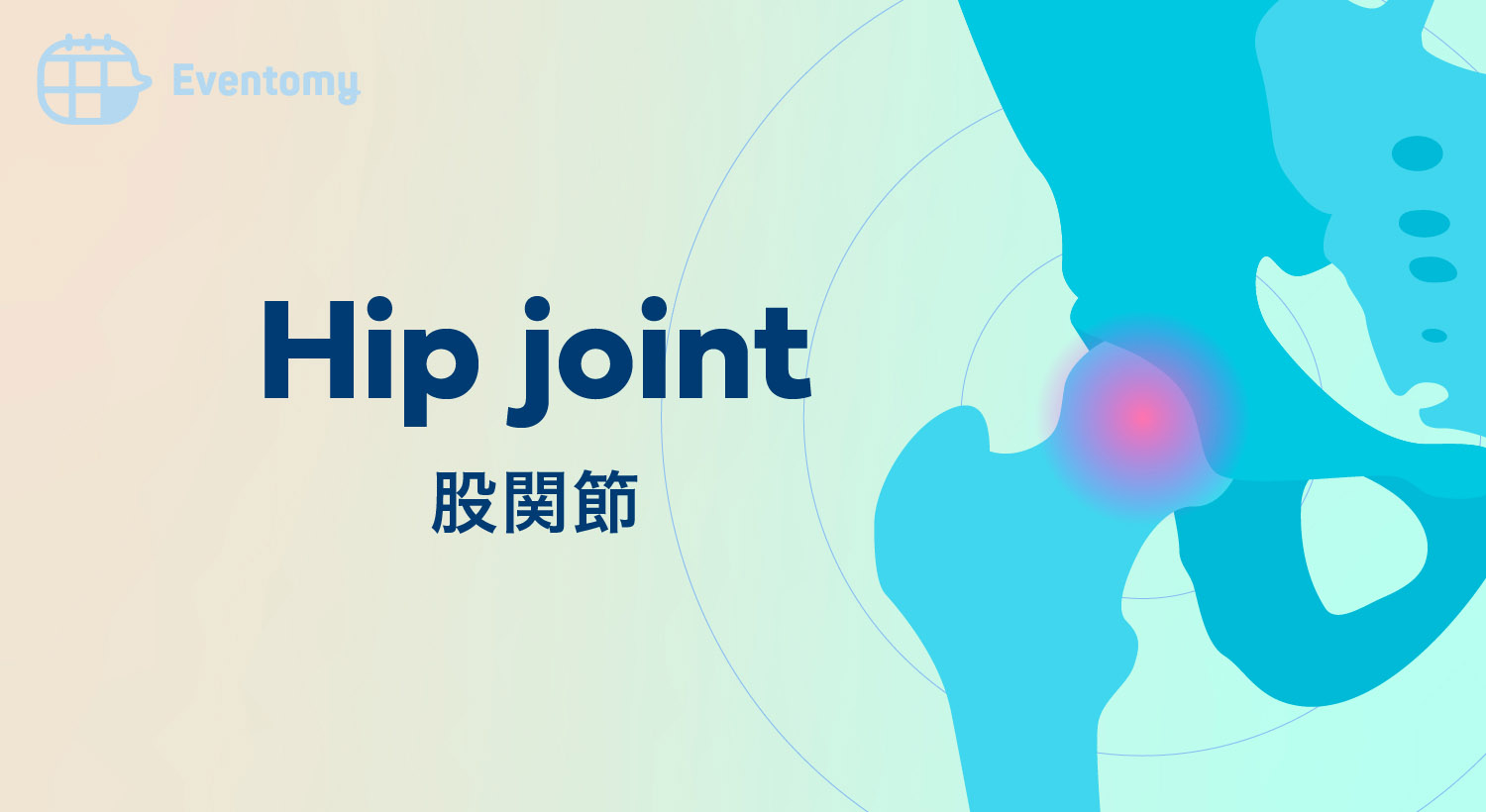 Johnson & Johnson HIP Total Solution Seminar [DAY2] | OPENOVA Online