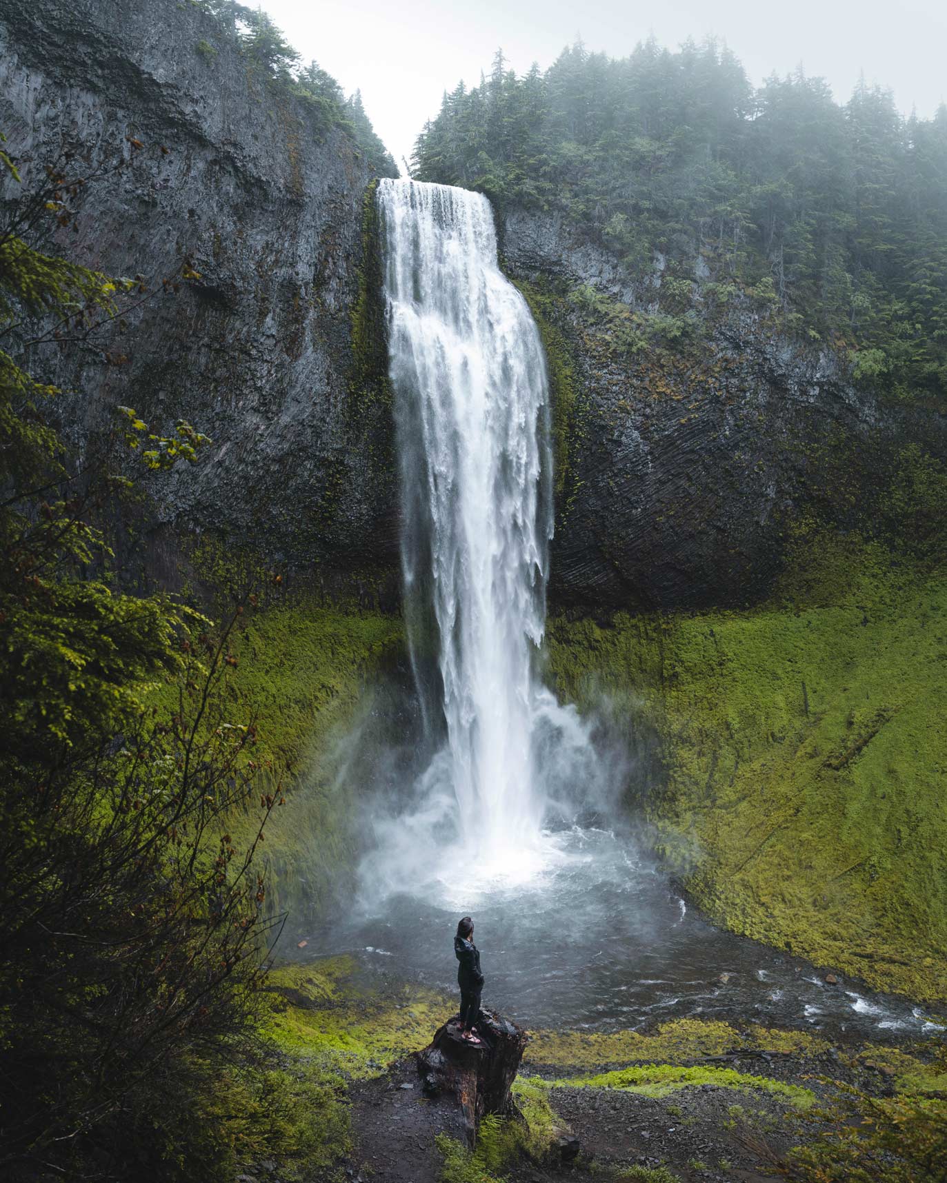 Salt Creek Falls | Explorest
