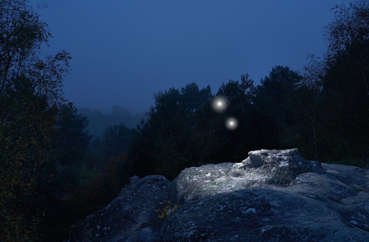 Passez la nuit dans les forêts du Grand Paris ce week-end