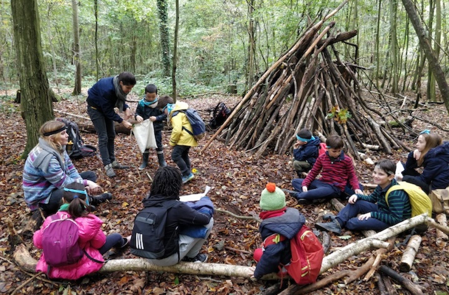 Des « forest schools » pour s’initier à la nature près de chez soi