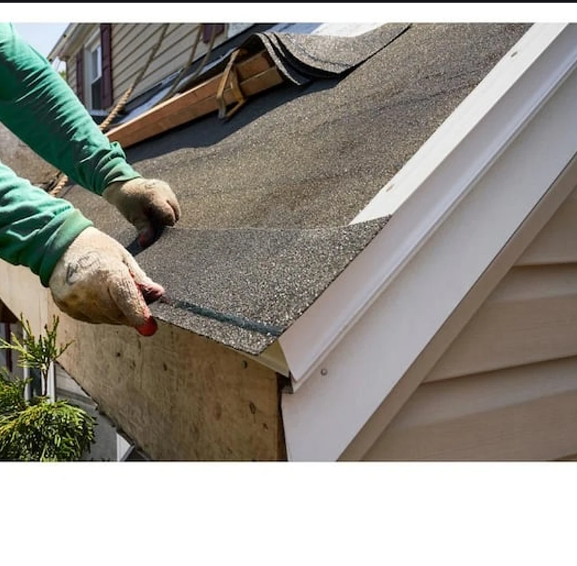 Starter Strip Plus Starter Shingle (13 1/4 in x 39 3/8 in (337mm x ...